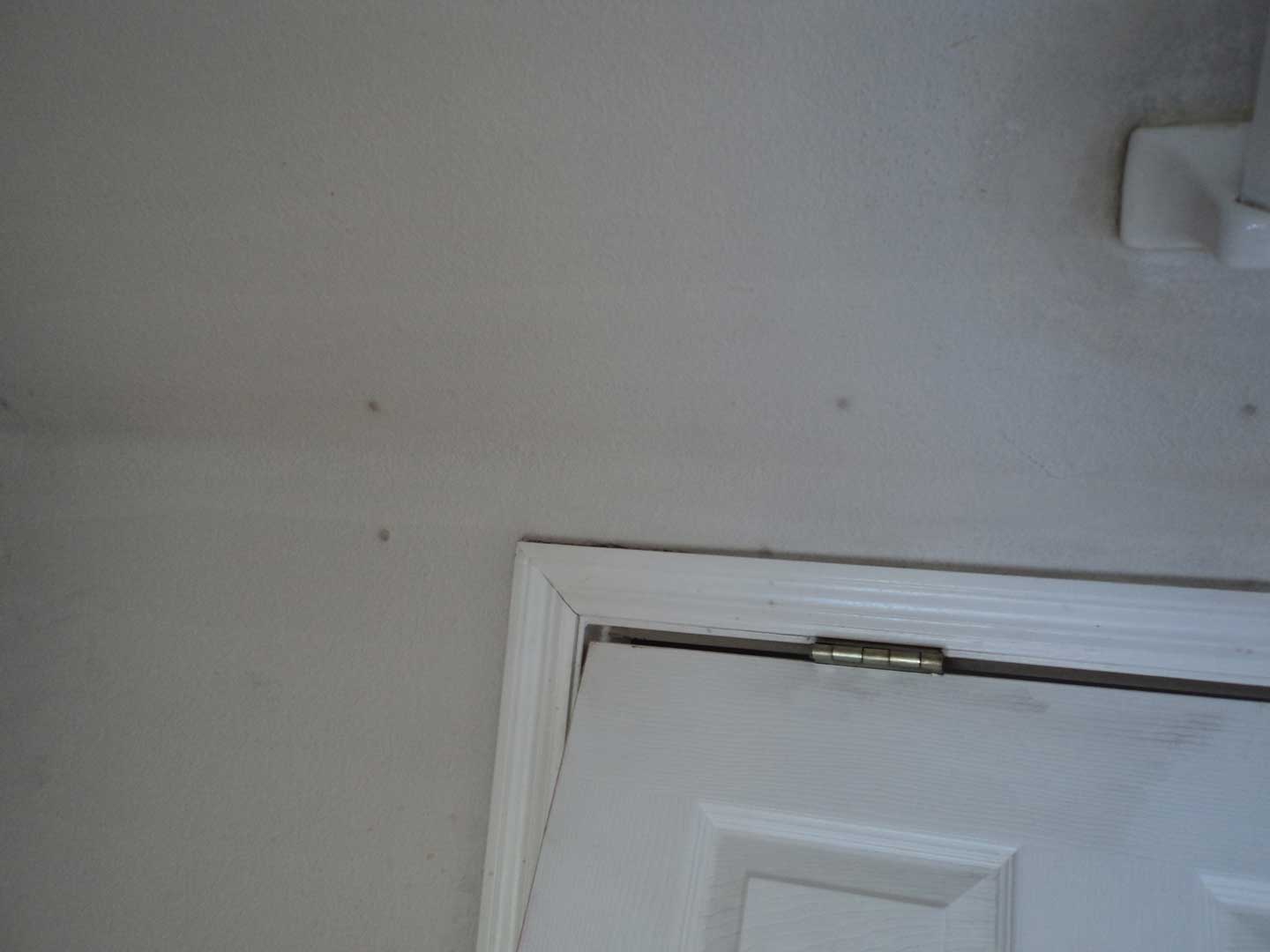 Celebration Public Adjuster - Public Adjuster Celebration